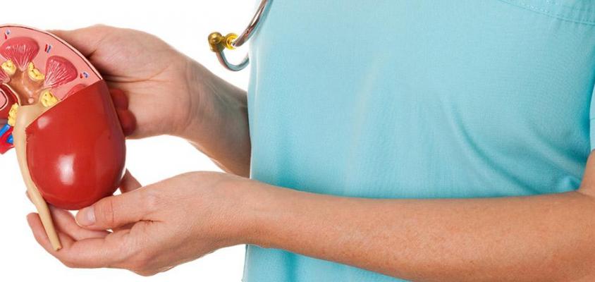 Knowledge is Power in the Fight Against Chronic Kidney Disease ...